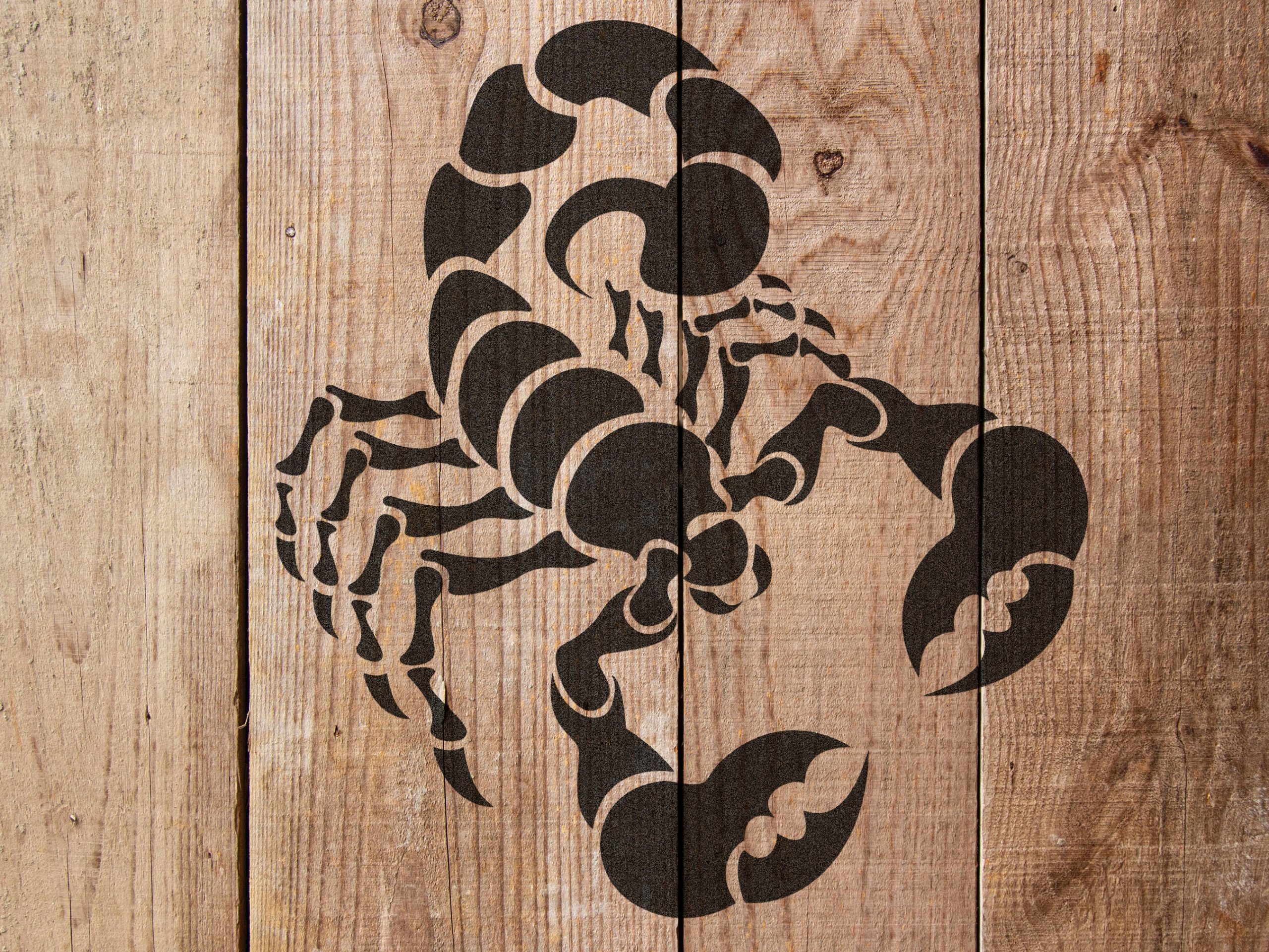Scorpion Stencil - Art and Wall Stencil - Stencil Giant
