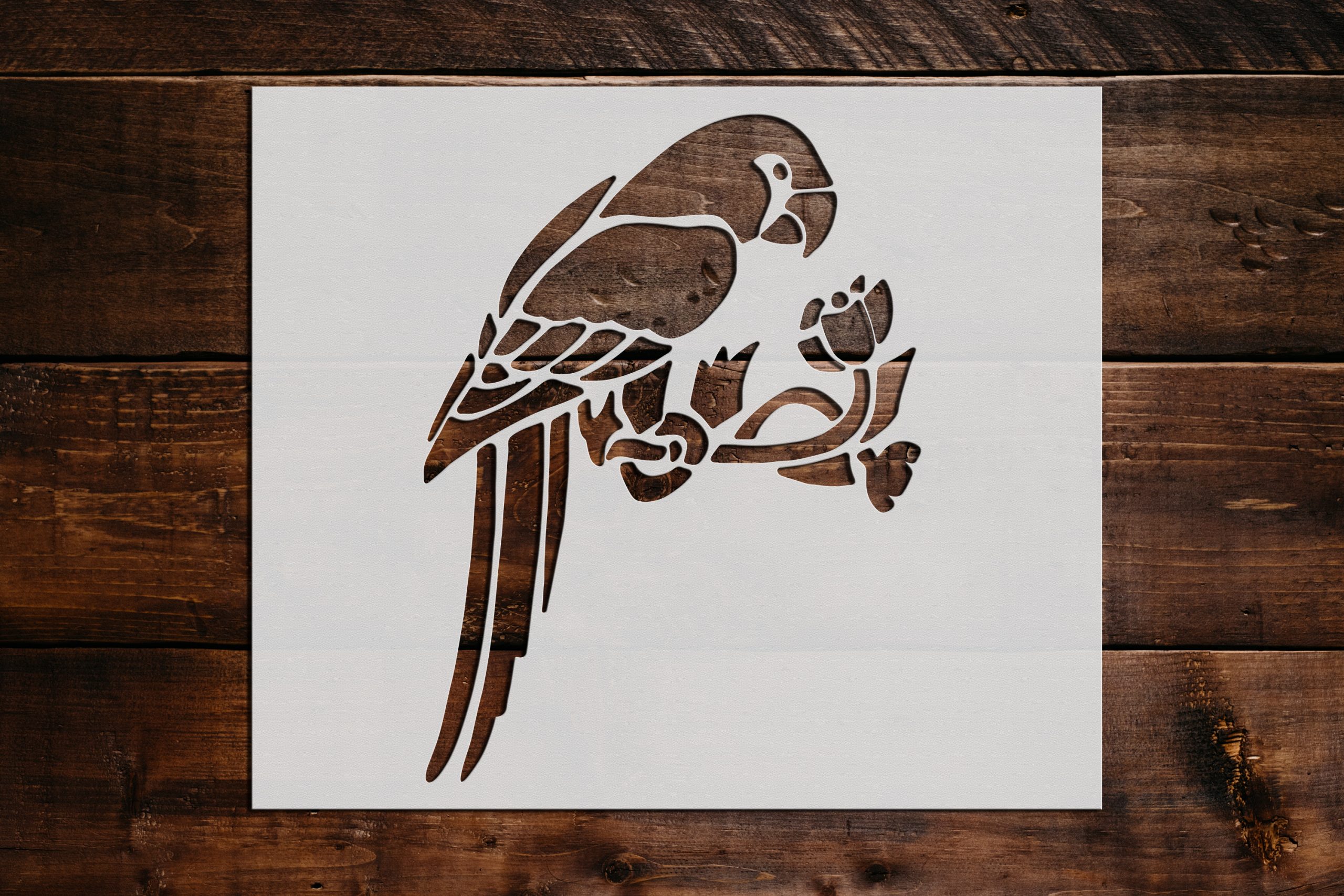 Parrot Stencil - Art and Wall Stencil - Stencil Giant
