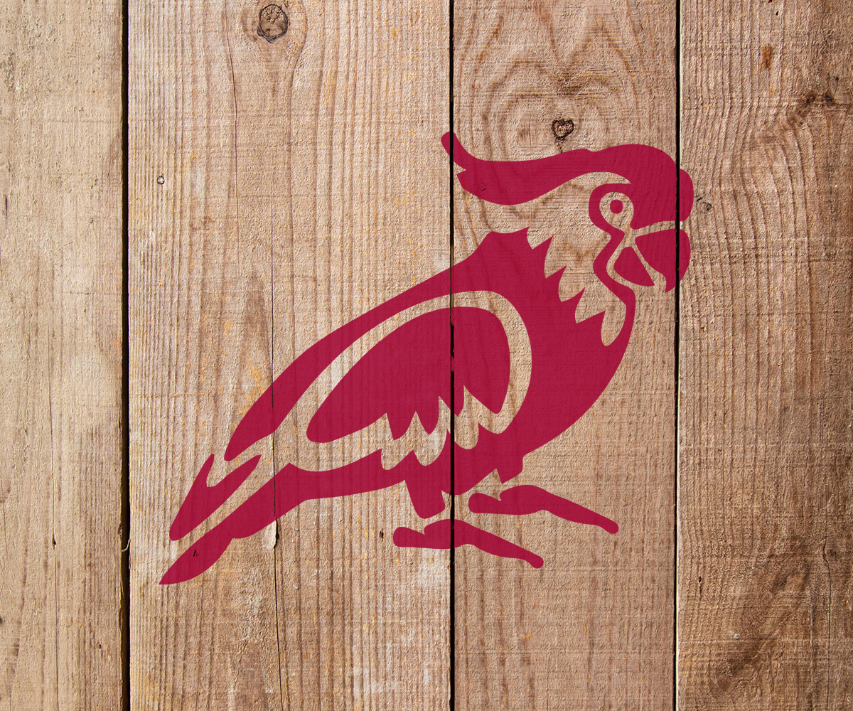 Parrot Stencil - Art and Wall Stencil - Stencil Giant