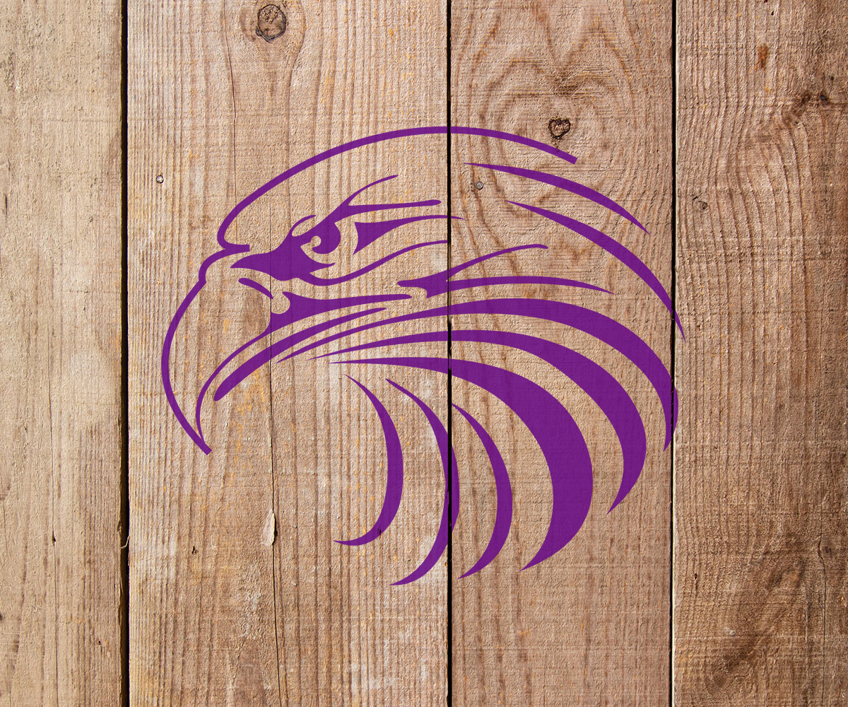 Eagles Head Stencil - Art and Wall Stencil - Stencil Giant