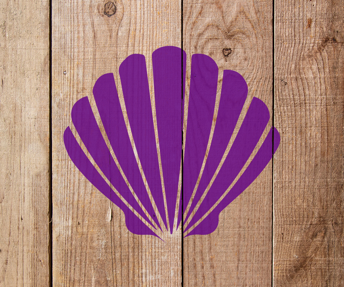 Sea Shell Stencil - Art and Wall Stencil - Stencil Giant