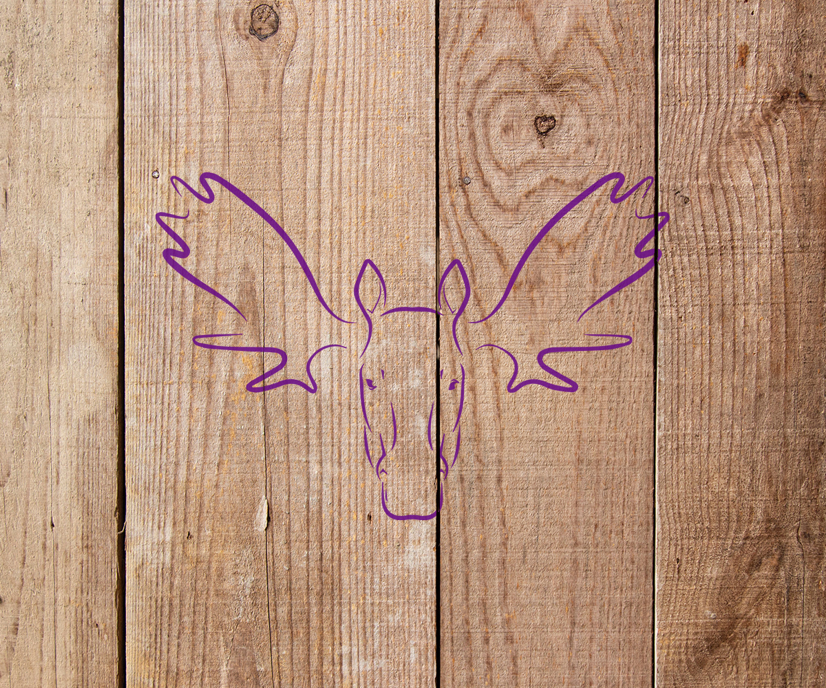 Moose Head Stencil - Art and Wall Stencil - Stencil Giant
