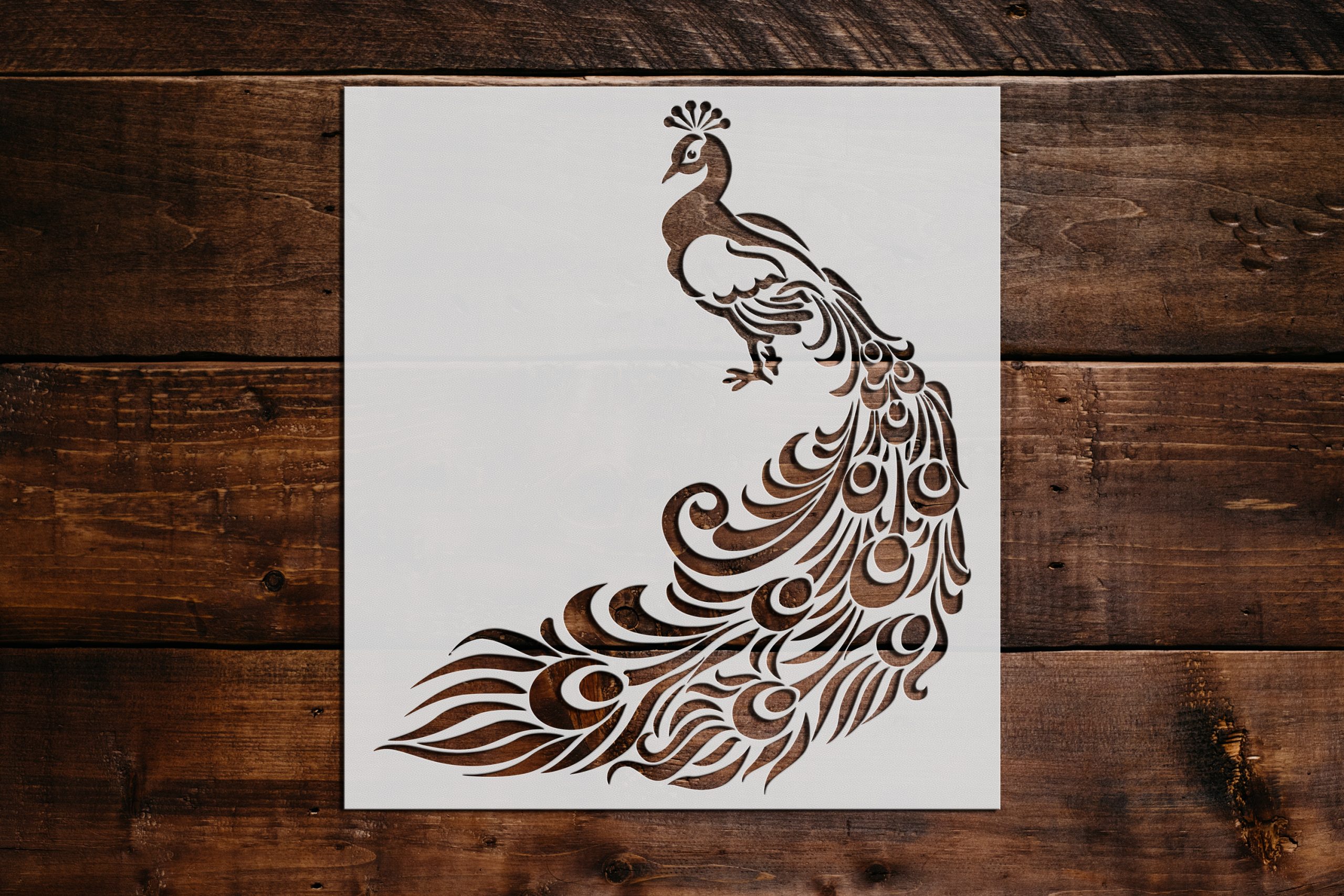 Peacock Stencil - Art and Wall Stencil - Stencil Giant