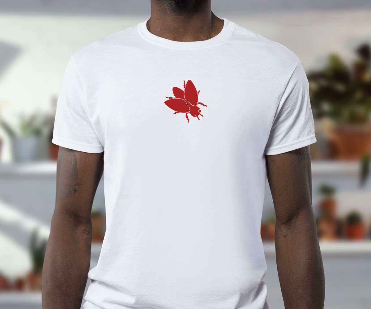 Fly Stencil - Art and Wall Stencil - Stencil Giant