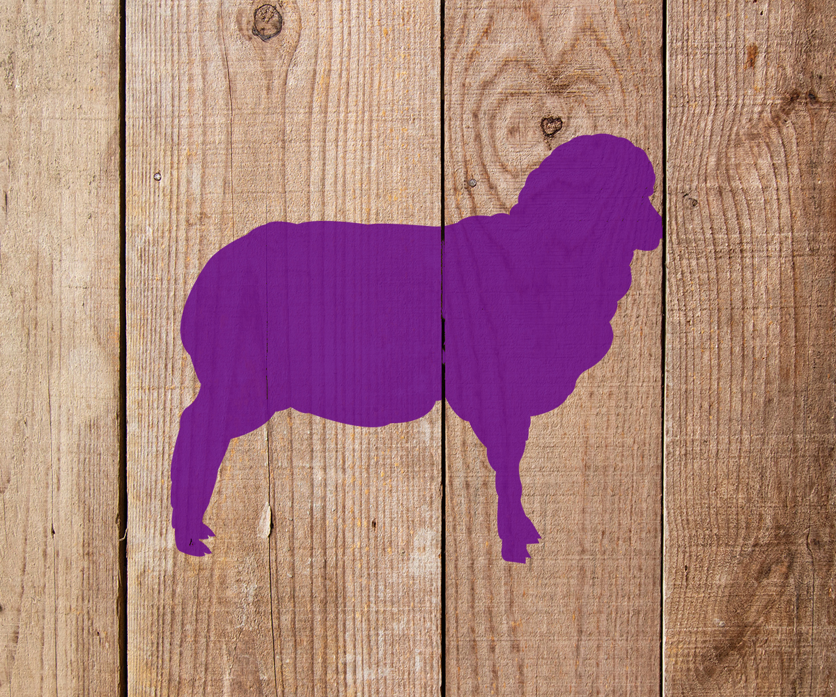 Sheep Stencil - Art and Wall Stencil - Stencil Giant